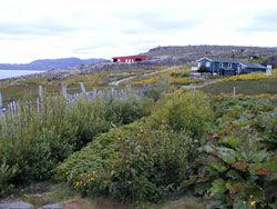 Tunisassiornissami gartneritut ilinniartitaanerup nalaani ...